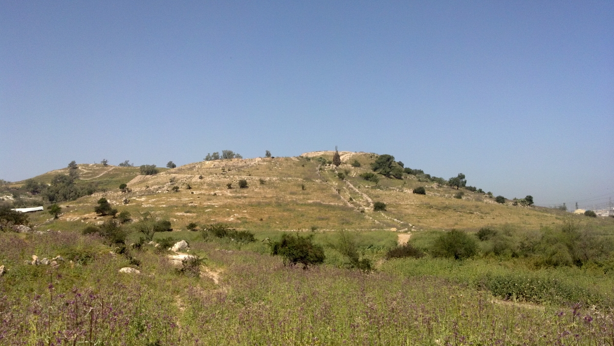 THROUGH THE BIBLE: Walking in the footsteps of Goliath of Gath ...